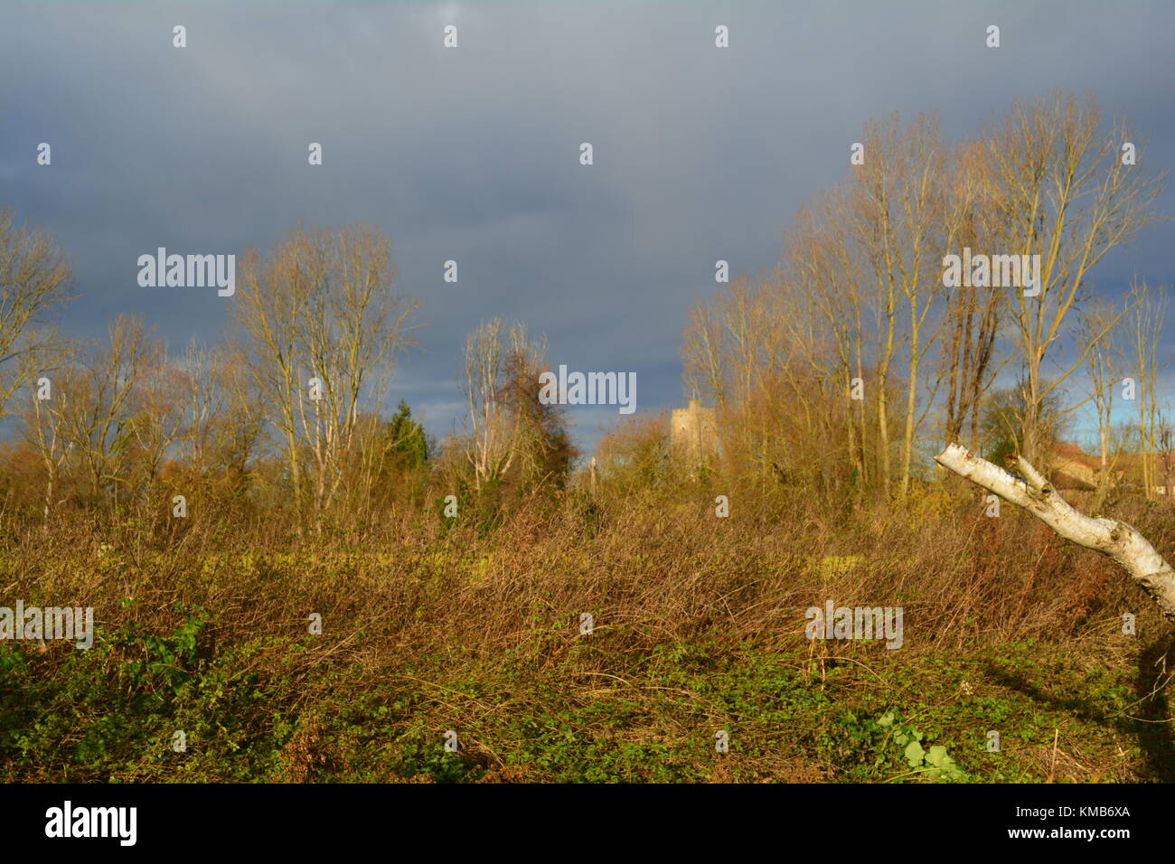 Grey winter sky hi-res stock photography and images - Alamy