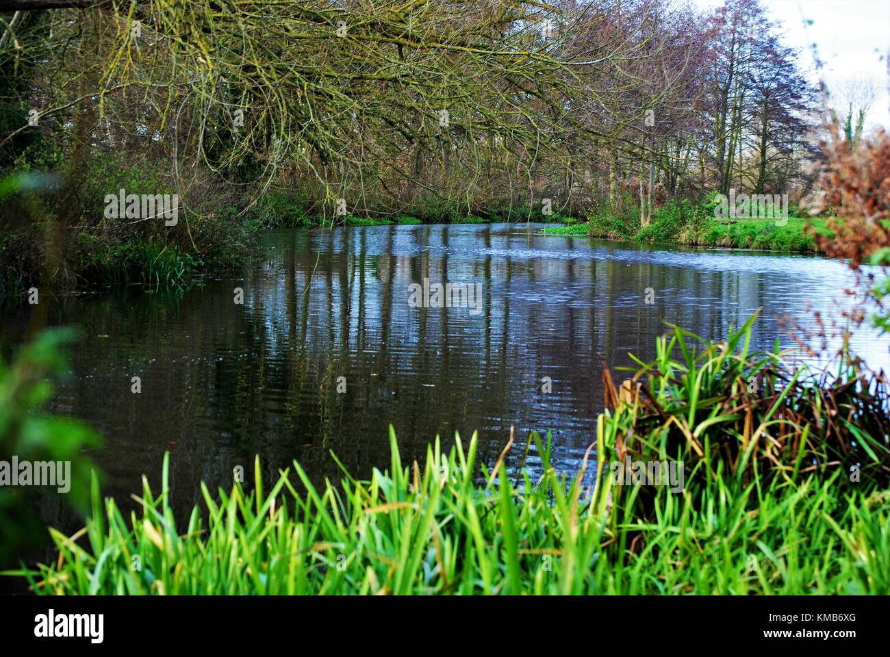 River lark mildenhall hi-res stock photography and images - Alamy