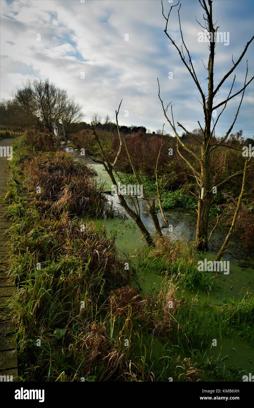 Bridge over river lark at mildenhall Stock Photo - Alamy