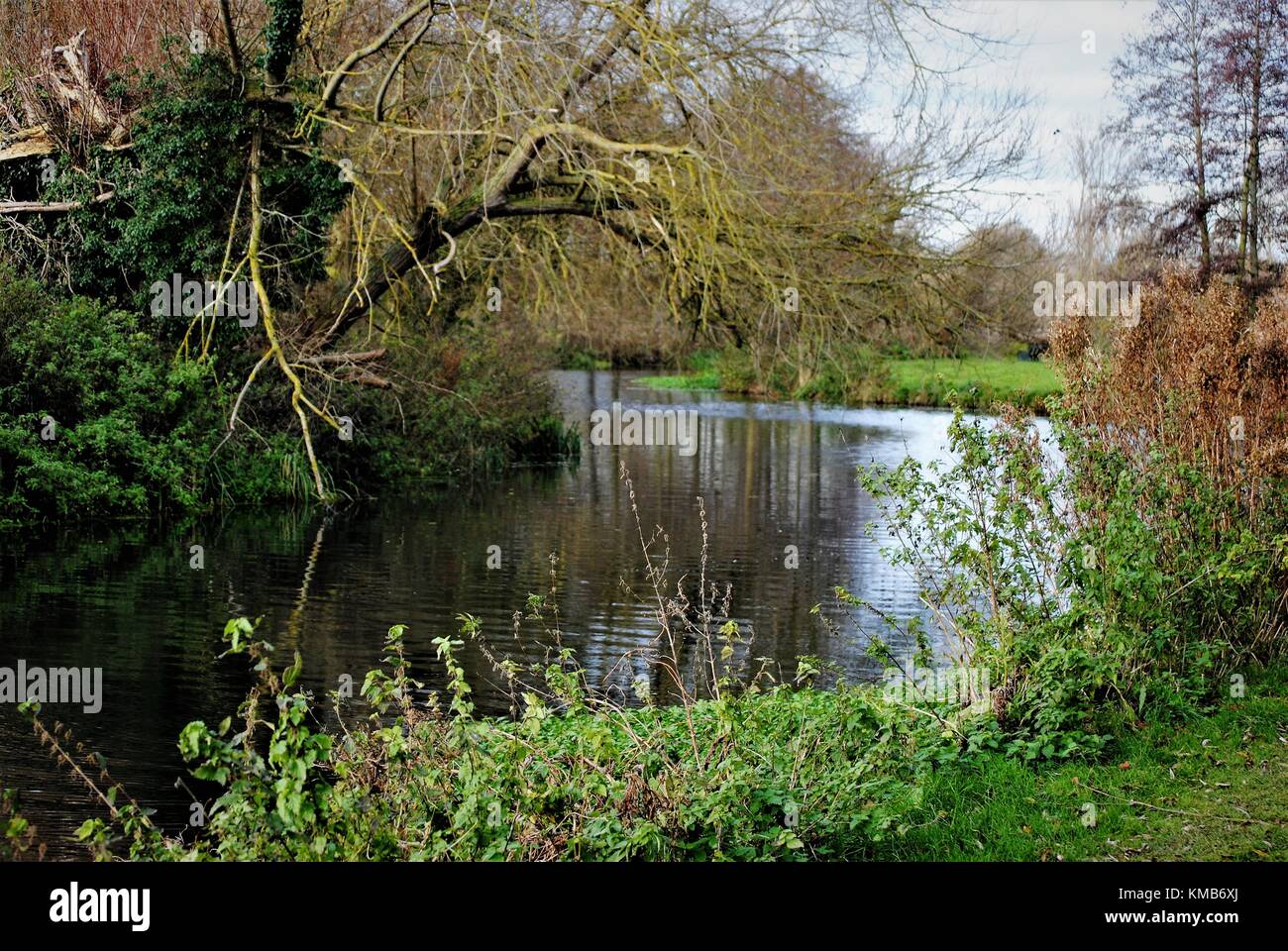 Bridge over river lark at mildenhall Stock Photo - Alamy