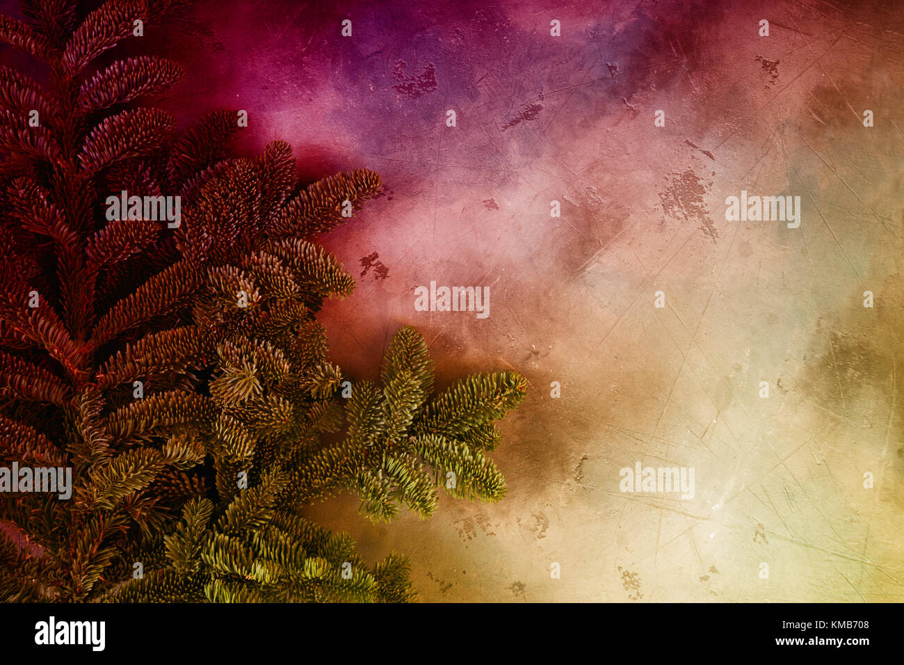 Christmas background with evergreen tree Stock Photo - Alamy