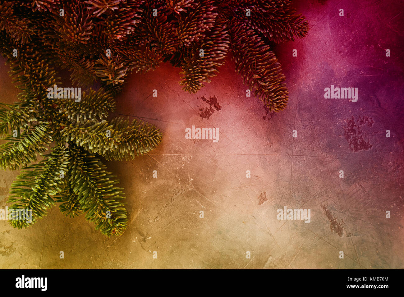 Christmas background with evergreen tree Stock Photo - Alamy