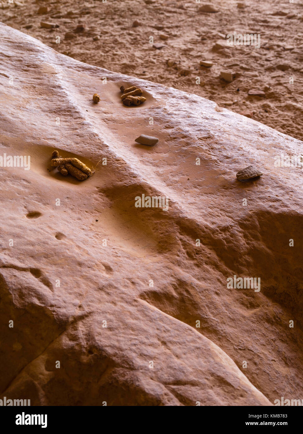 Metate (corn grinder). Photograph from the Eagles Nest Ruin, on Comb ...