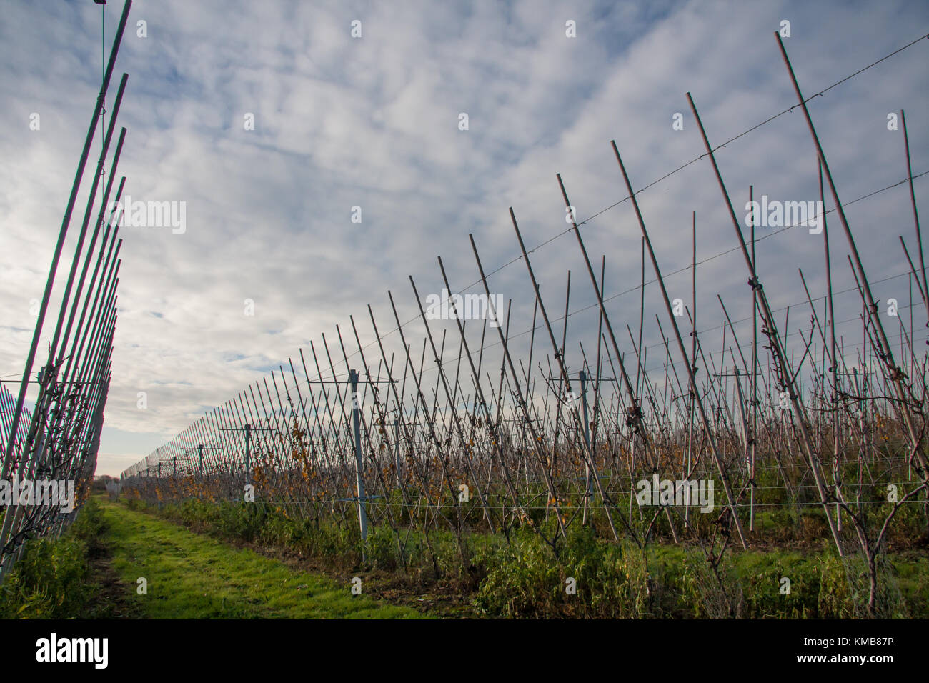 Modern Farming Method High Resolution Stock Photography and Images - Alamy