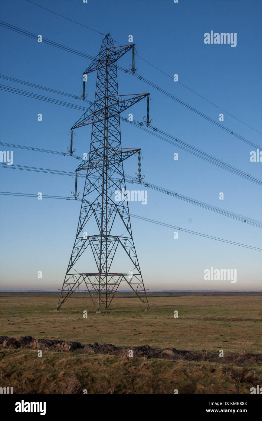 Pylon field hi-res stock photography and images - Alamy