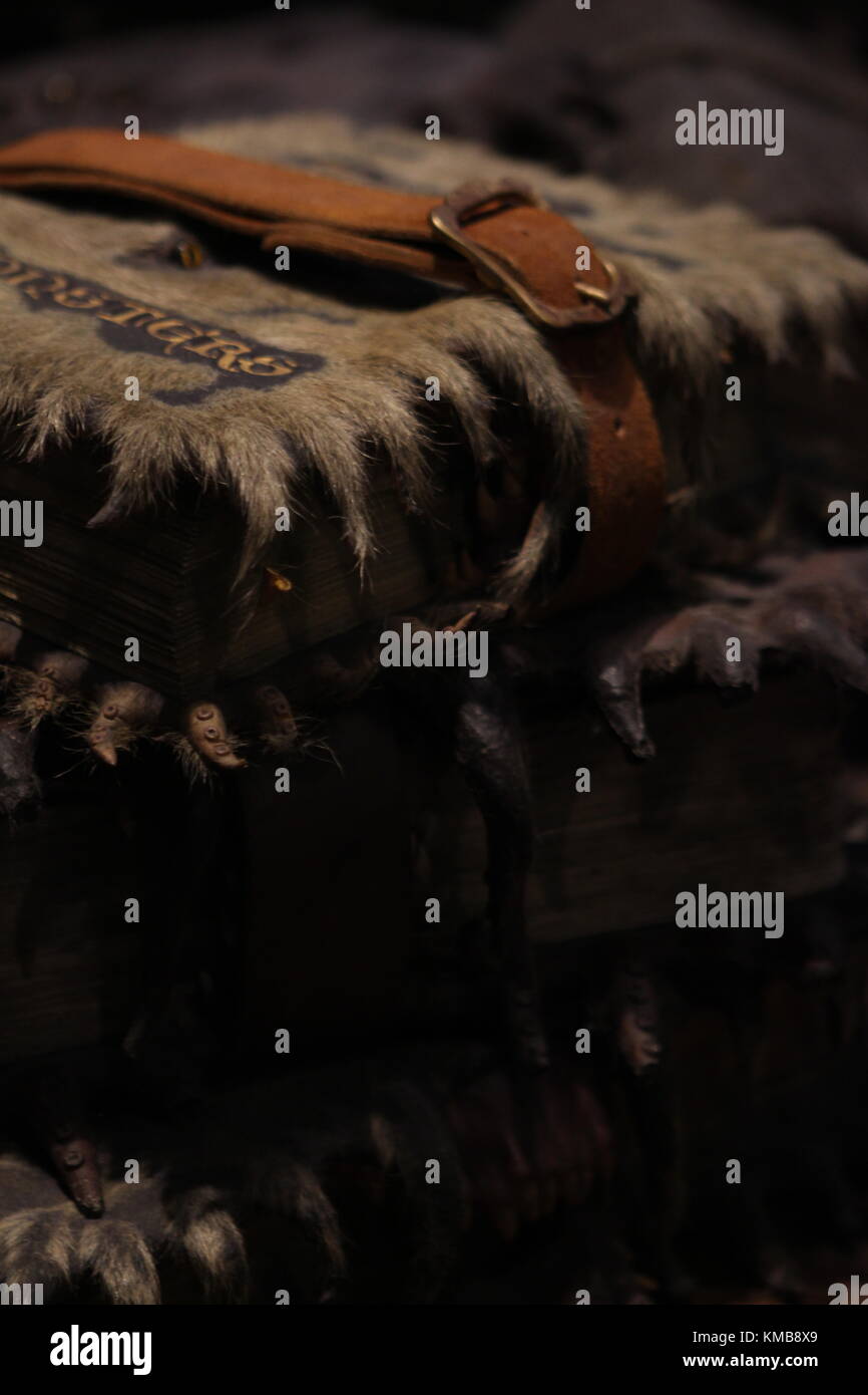 Various props and set design from the Warner Brothers Harry Potter ...