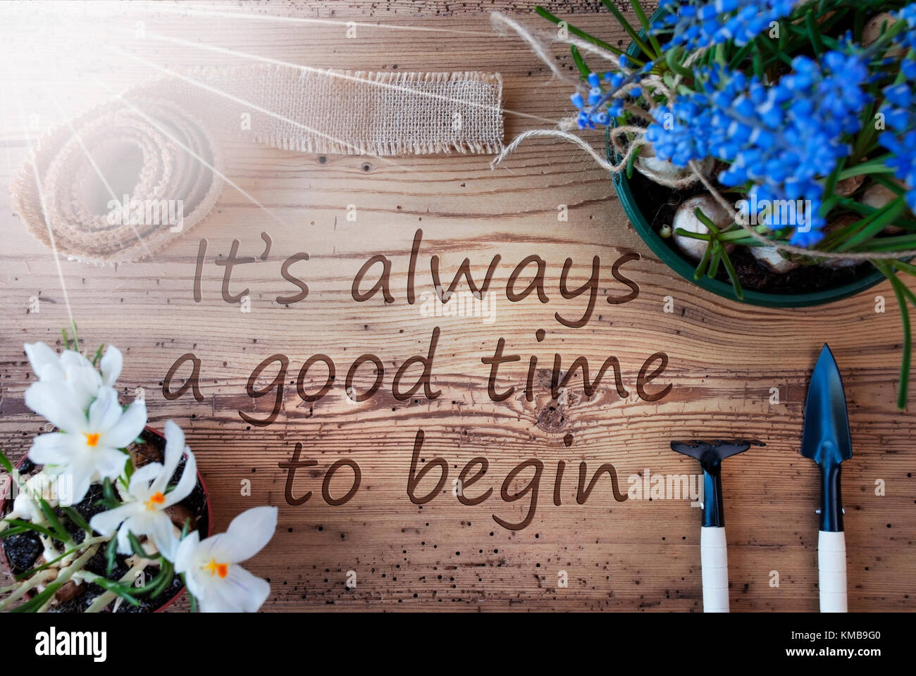 Sunny Flowers, Quote It Is Always Good Time To Begin Stock Photo - Alamy
