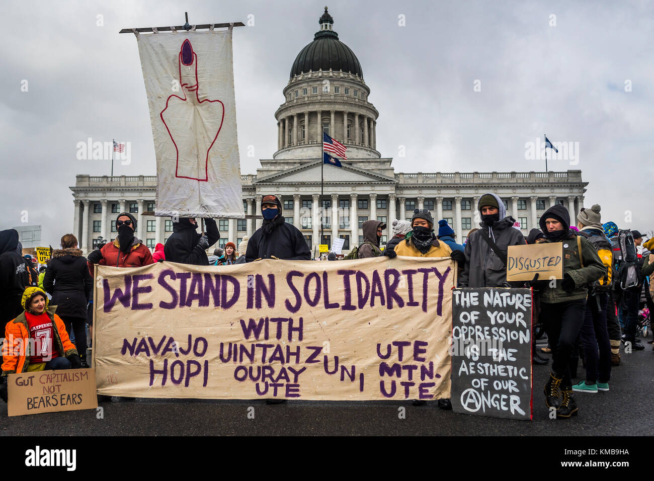 Save bears ears hi-res stock photography and images - Alamy