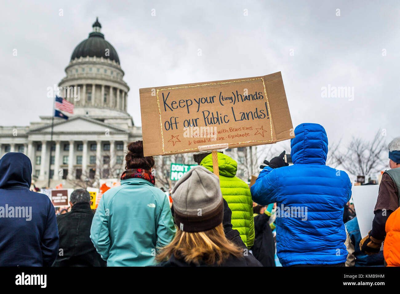 Save bears ears hi-res stock photography and images - Alamy