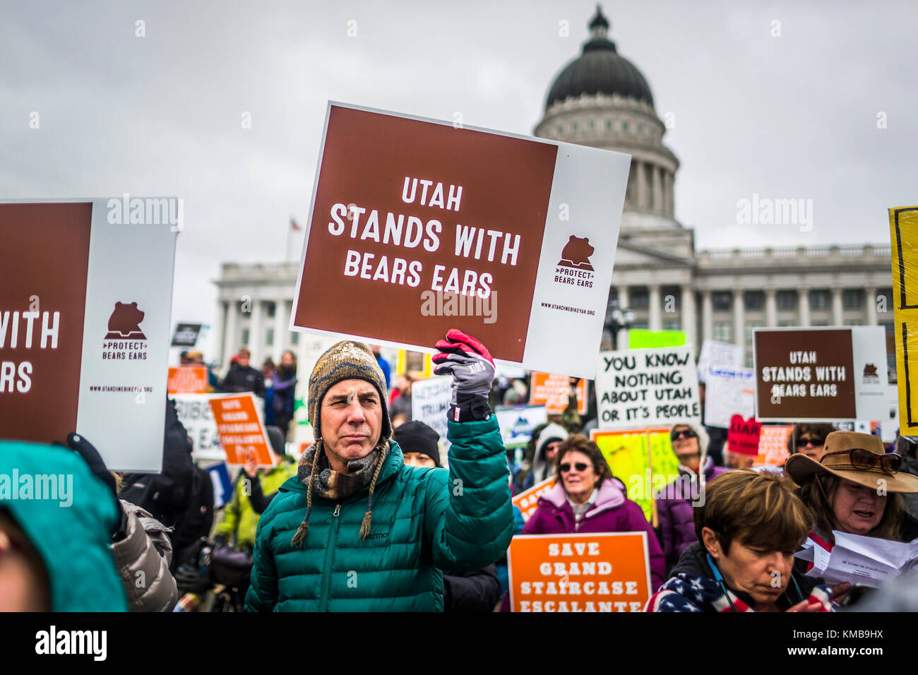 Save bears ears hi-res stock photography and images - Alamy