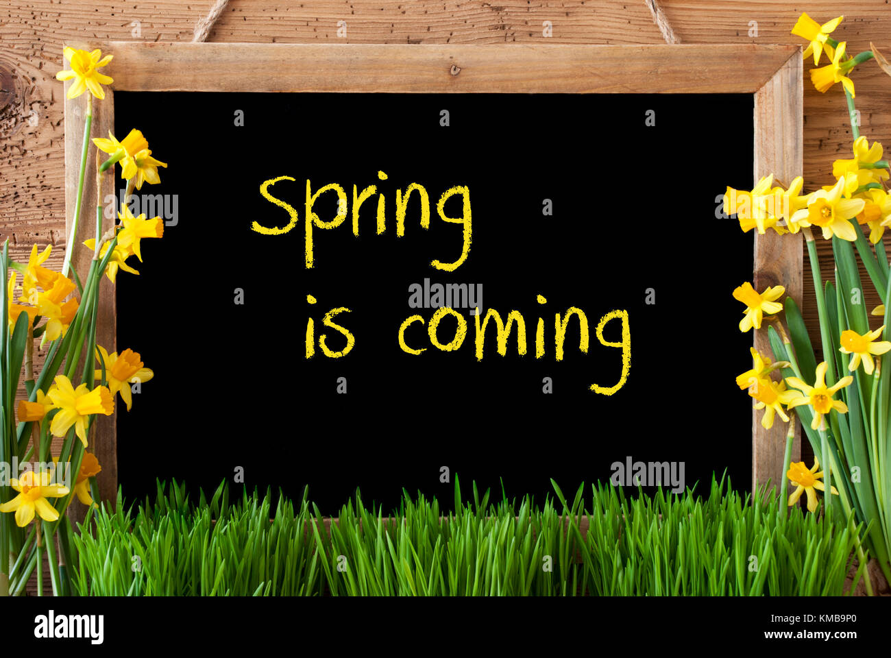 Flower Narcissus, Chalkboard, Text Spring Is Coming Stock Photo - Alamy