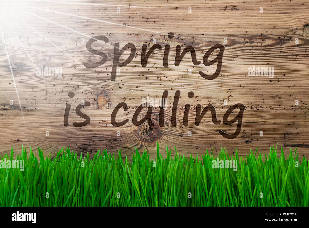 Sunny Wooden Background, Gras, Text Spring Is Calling Stock Photo - Alamy