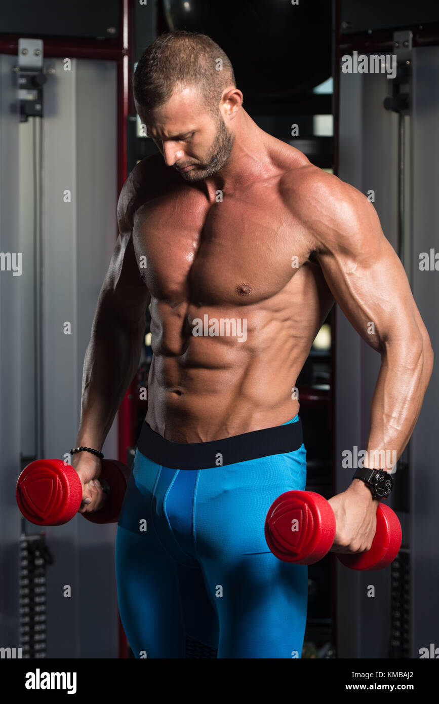 Athlete Working Out Biceps In A Gym - Dumbbell Concentration Curls ...