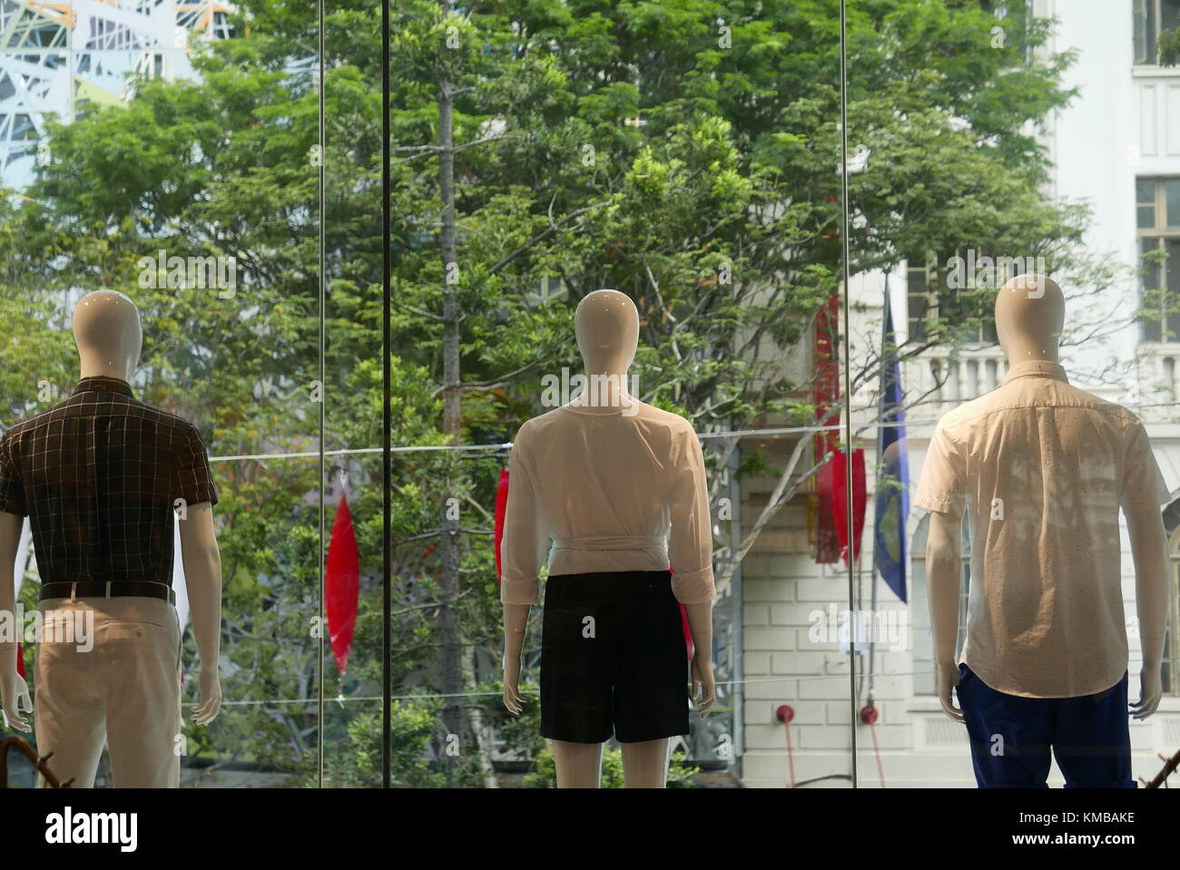 Looking out on the world Stock Photo - Alamy