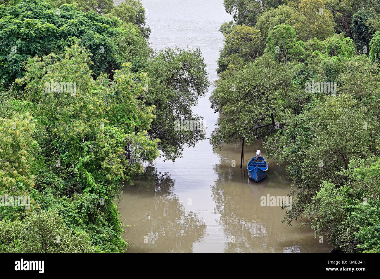 Aerial view of blue fishing boat anchored among mangrove forest off ...