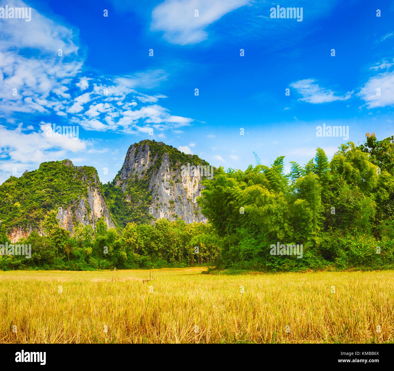 Rice field and mountains. Beautiful rural landscape. Luang Prabang ...