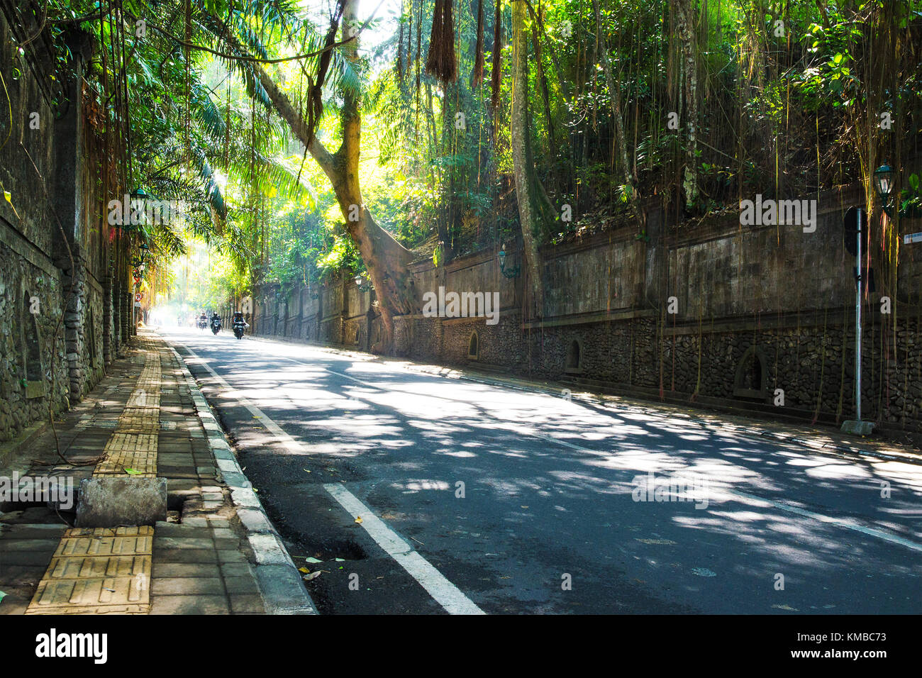 Shady street hi-res stock photography and images - Alamy