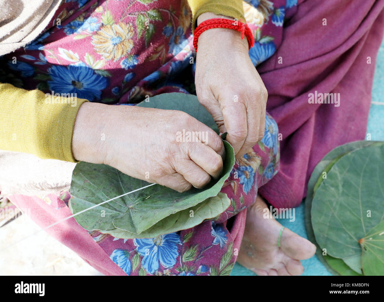 Tendu hi-res stock photography and images - Alamy