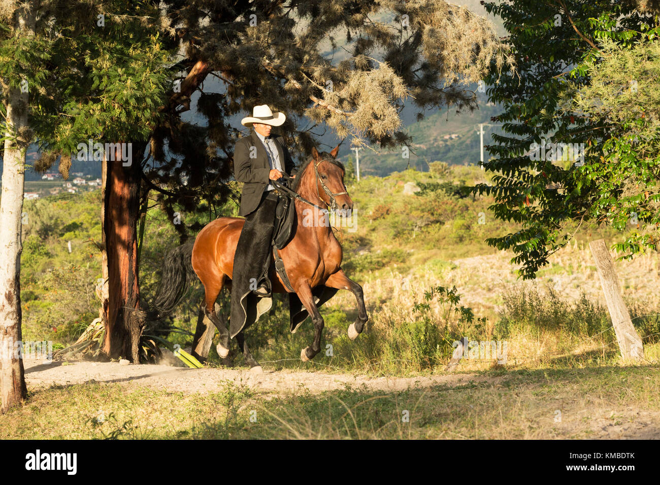 South american cowboy hi-res stock photography and images - Alamy