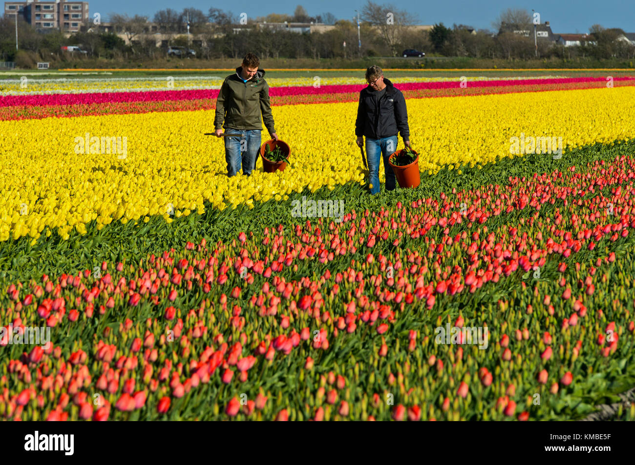 Wrong controls hi-res stock photography and images - Alamy