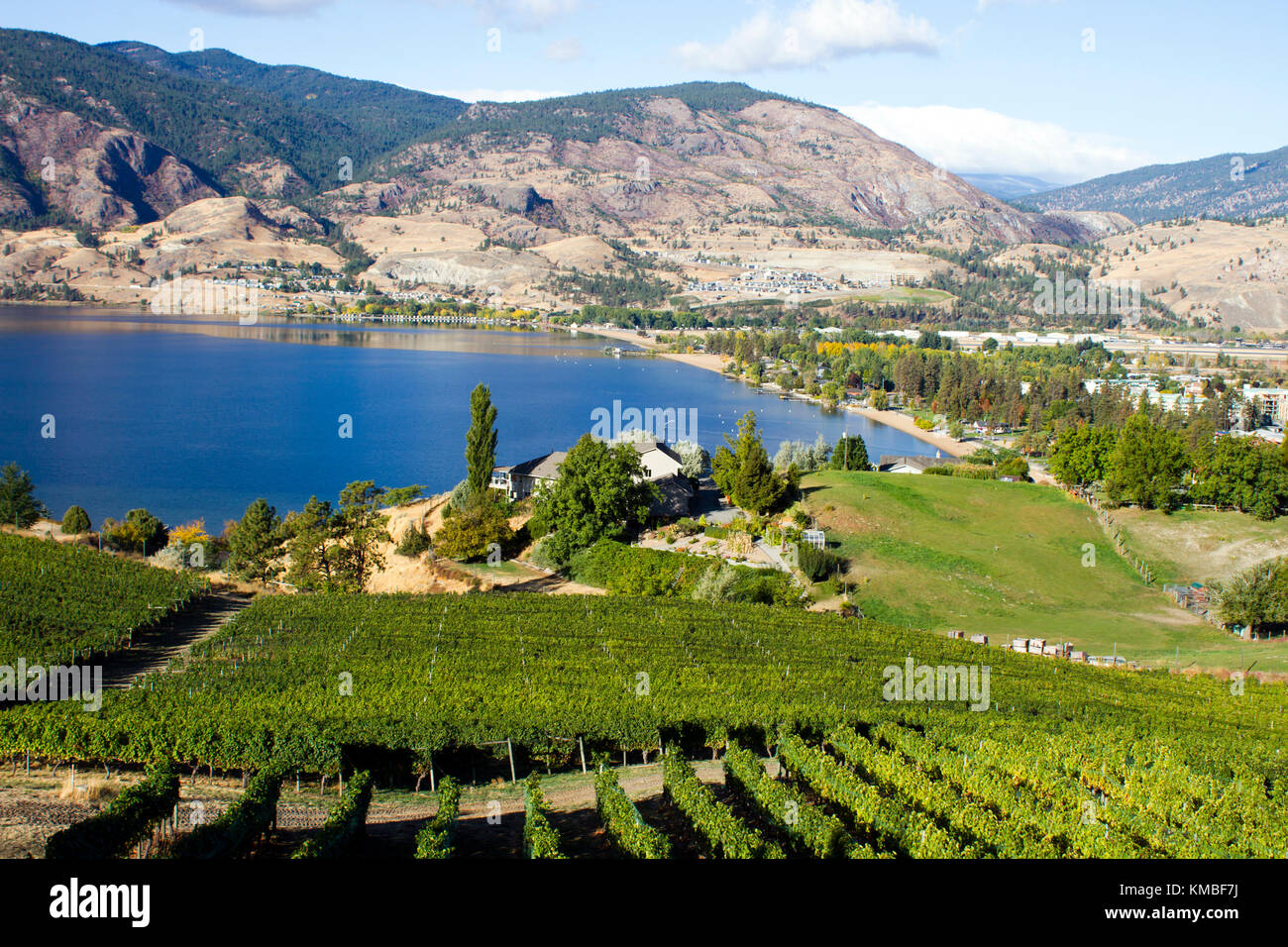 View of vineyards overlooking Skaha Lake and Skaha Beach located in the ...