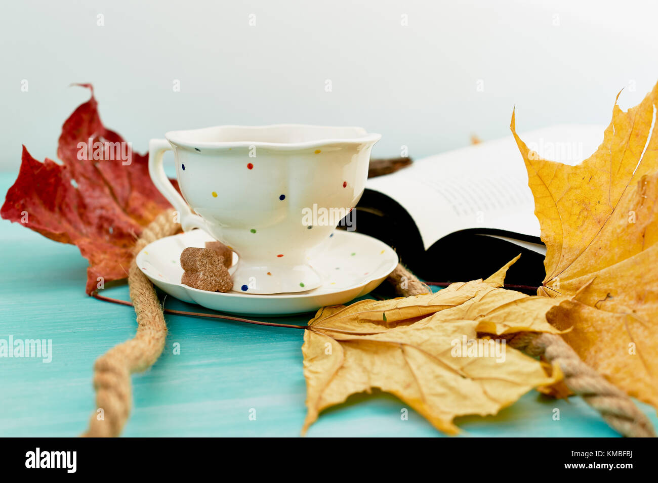 Cup of tea next to the book in the autumn leaves. Education and comfort ...
