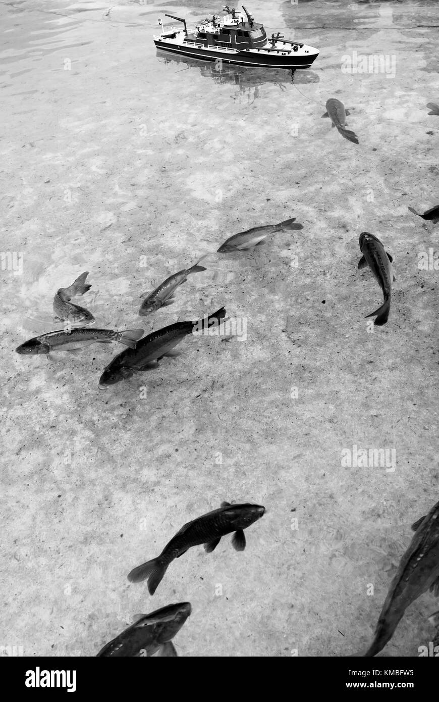 Giant boat Black and White Stock Photos & Images - Alamy