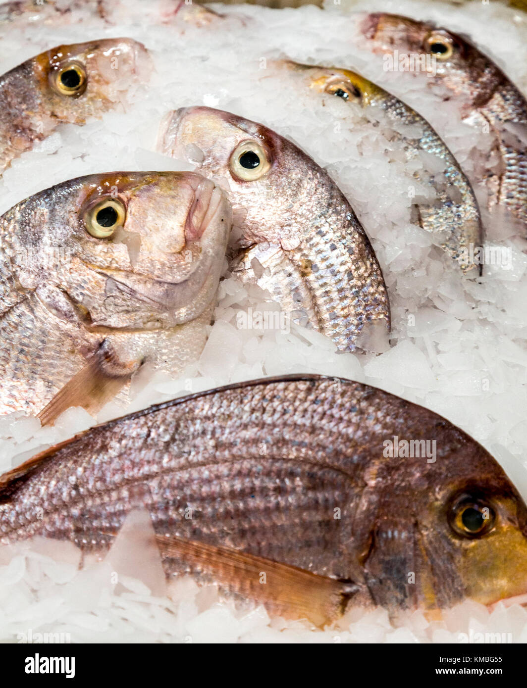 Fresh fish on a market Stock Photo - Alamy