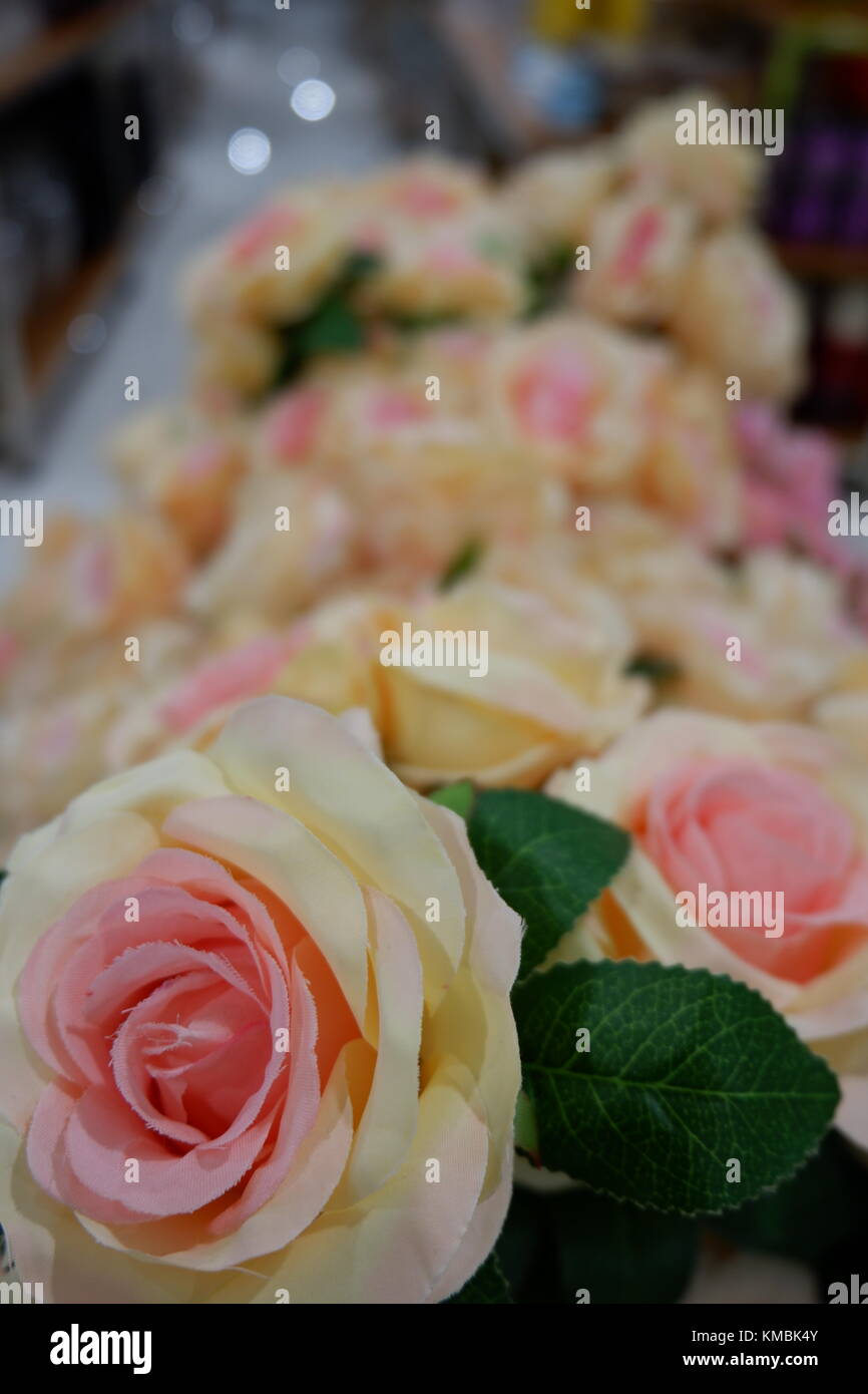 Artificial Rose flowers on display looking fresh and real, properly ...