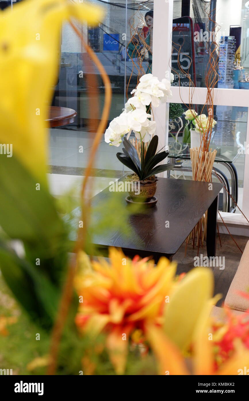 Artificial White Flowering Orchids on center table display Stock Photo ...
