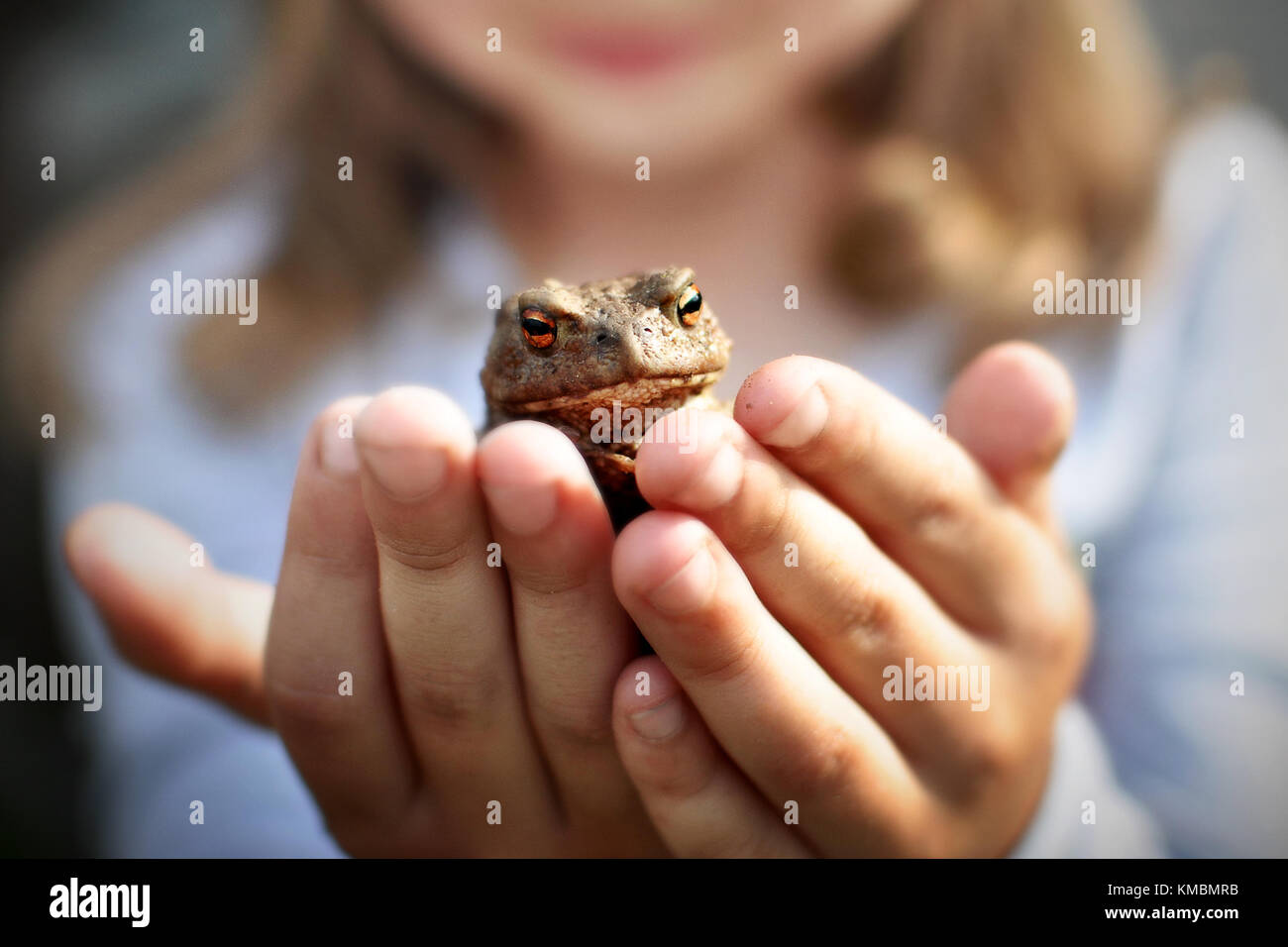 Girl holding a toad Stock Photo - Alamy