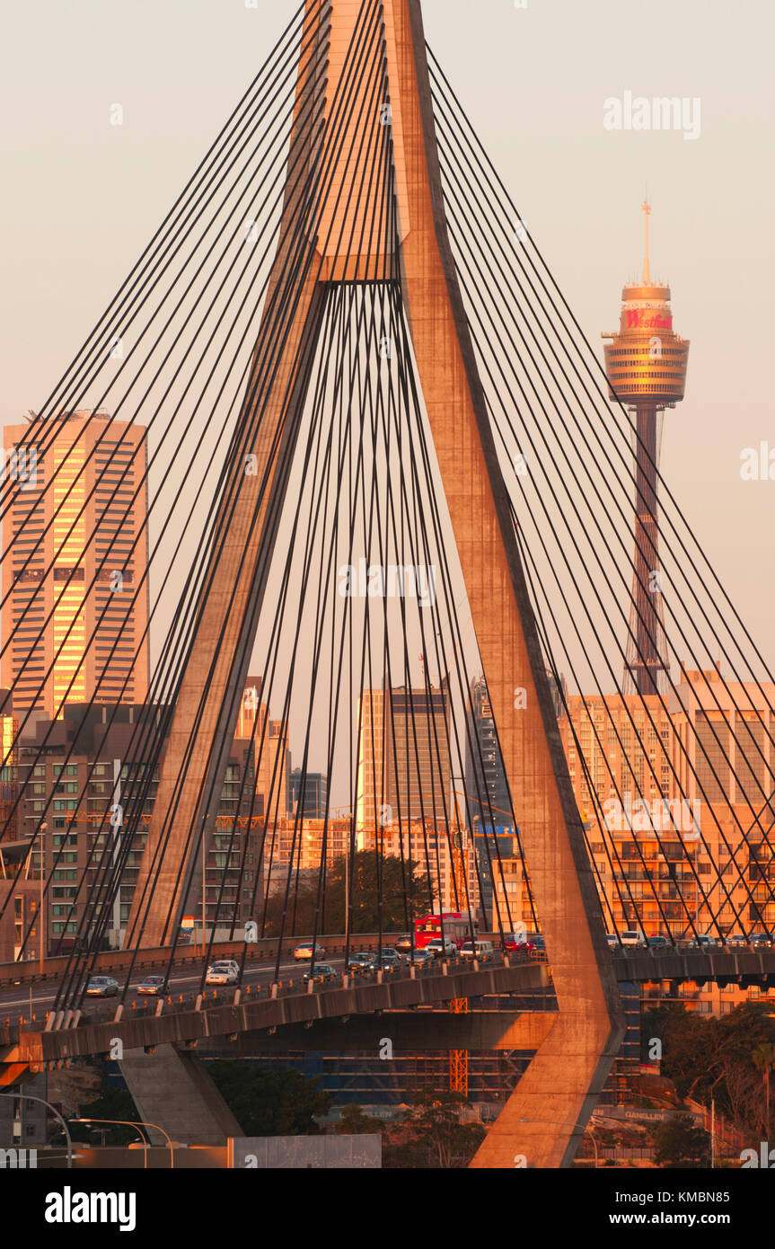 Anzac Bridge and Sydney Tower at Sunset, Glebe, Sydney, New South Wales ...