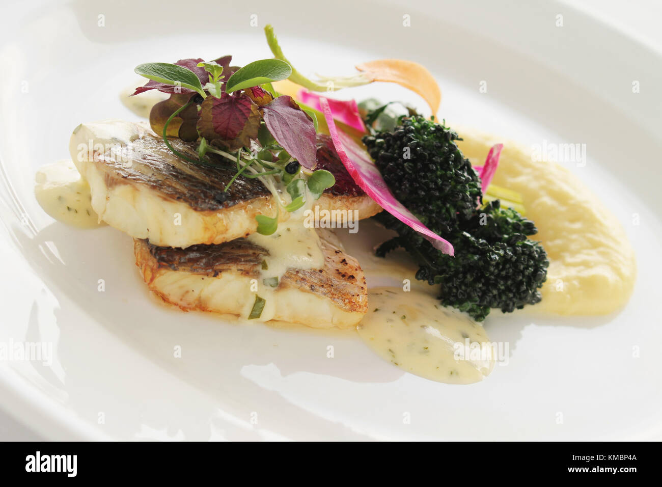 Plated Fish Stock Photos & Plated Fish Stock Images - Alamy
