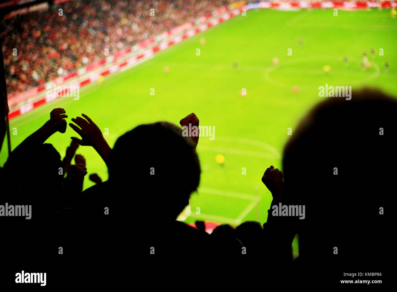 Soccer football fan fans celebrate celebration hi-res stock photography ...