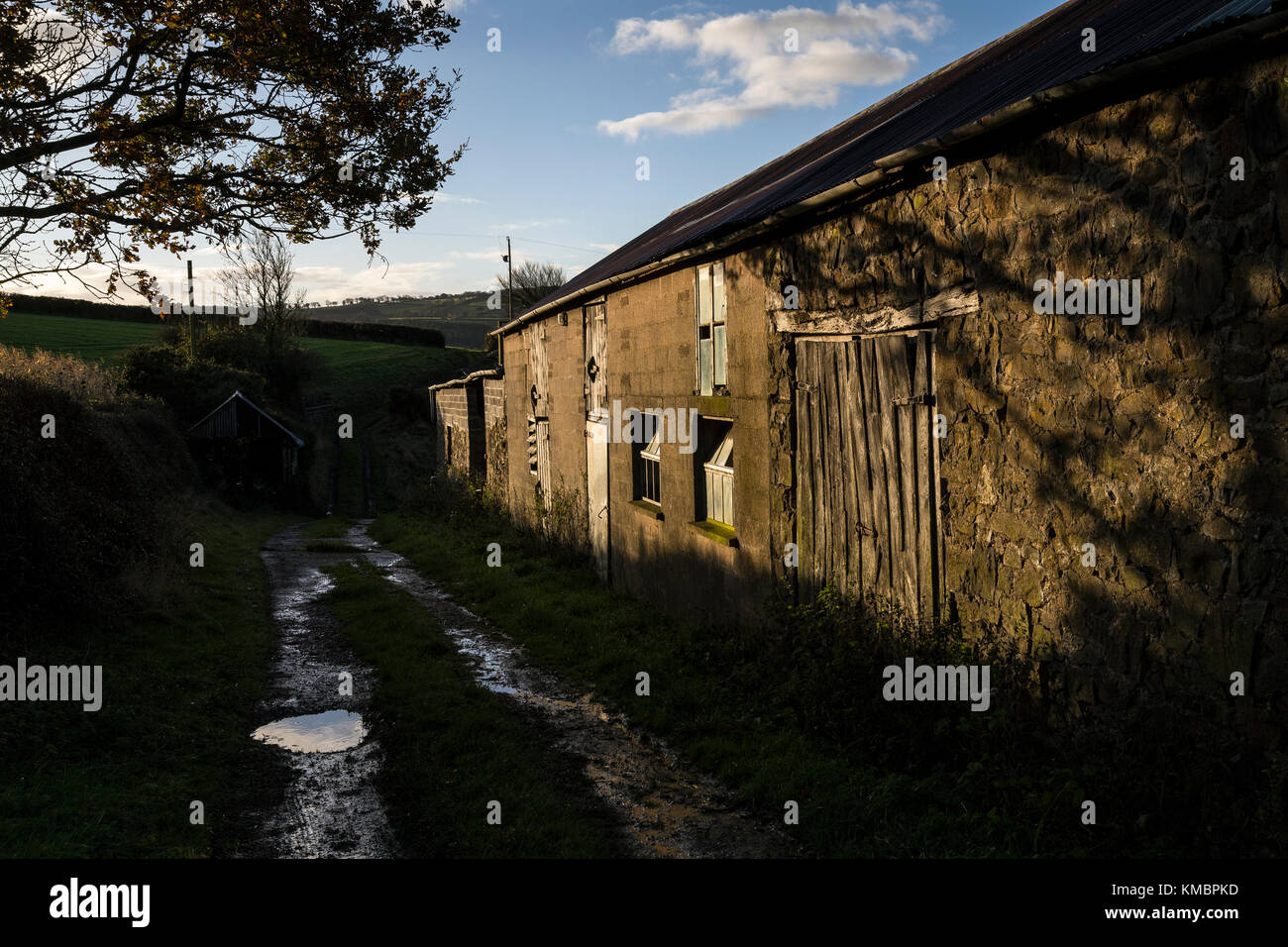 Devon Barn with rusty corragated sheets,A barn is an agricultural ...