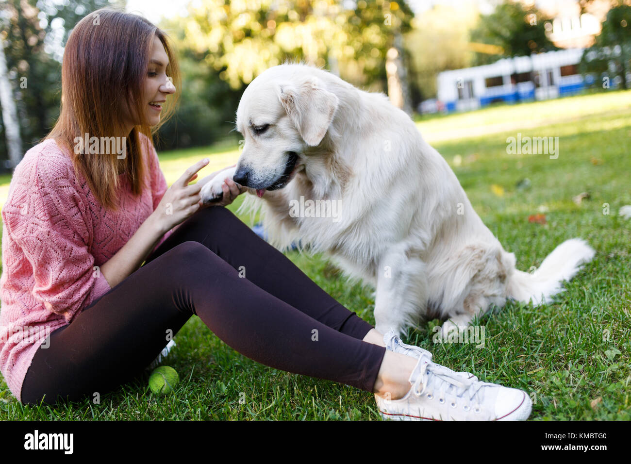 Photo of woman on walk with labrador giving paw Stock Photo - Alamy