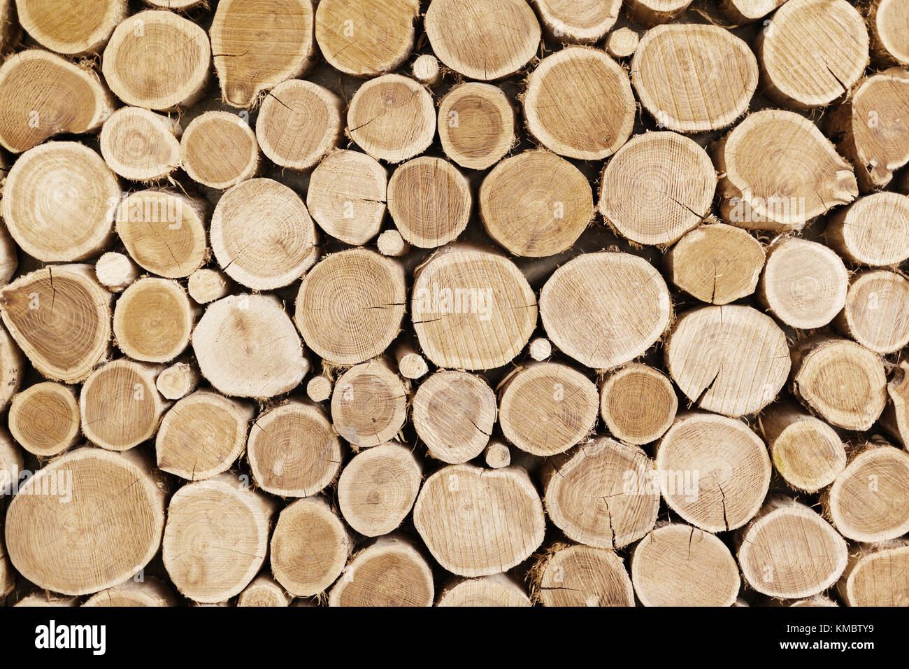 Log texture hi-res stock photography and images - Alamy
