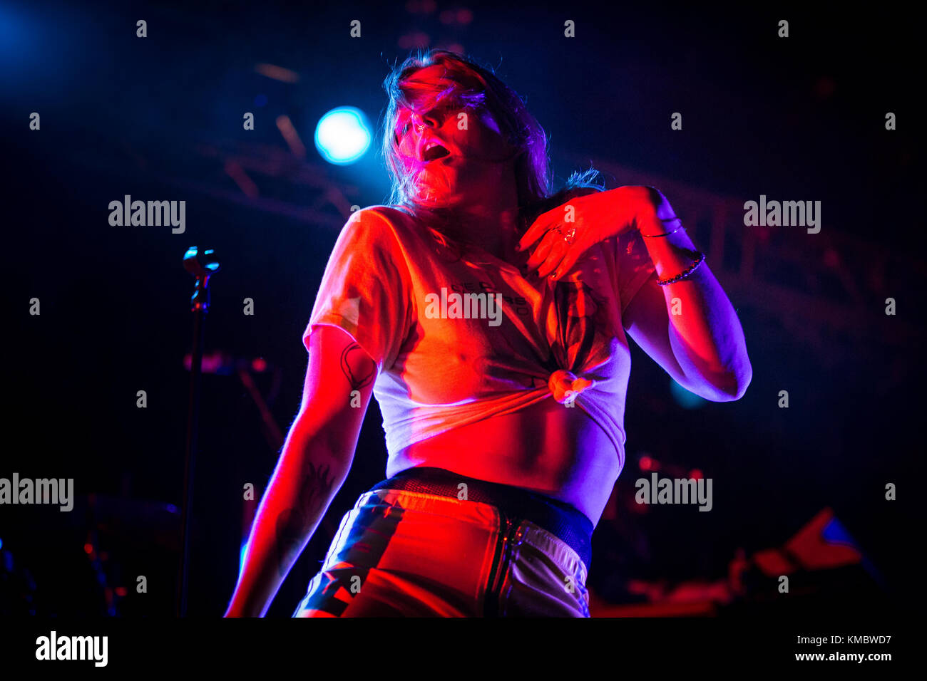 The Swedish electropop singer, songwriter and musician Ebba Tove Elsa ...