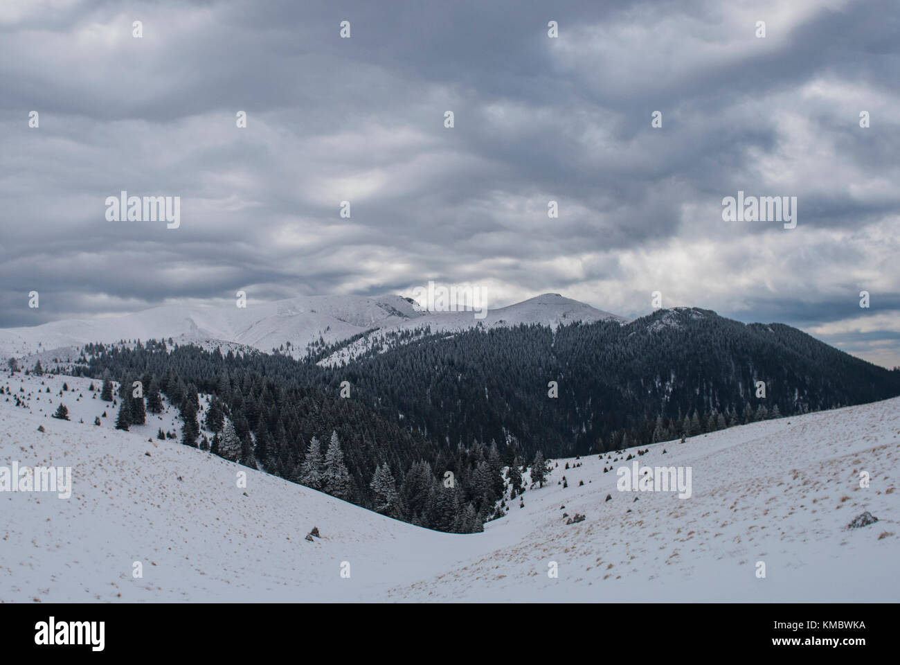 Winter landscape in Romania Stock Photo - Alamy