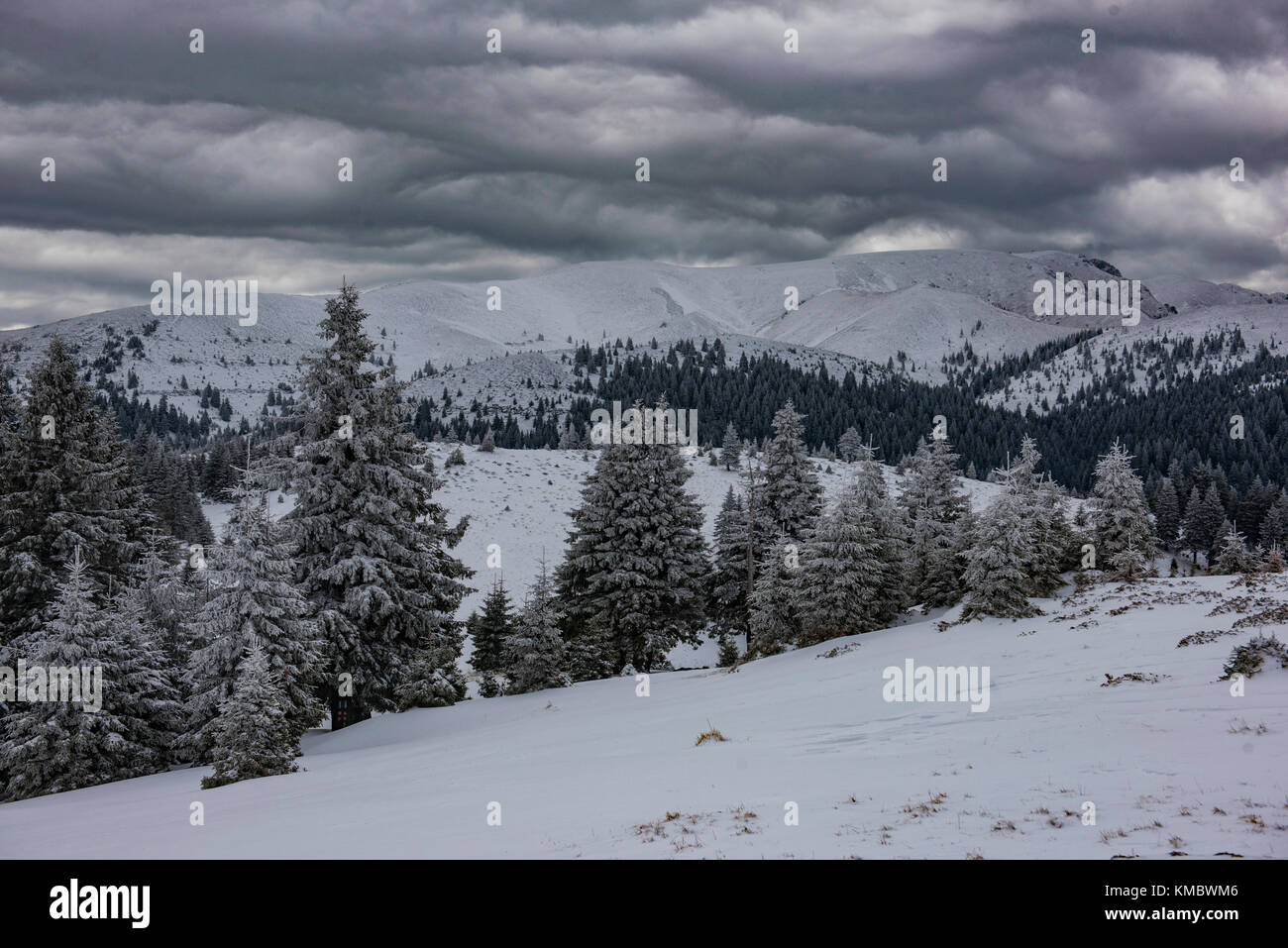 Winter landscape in Romania Stock Photo - Alamy