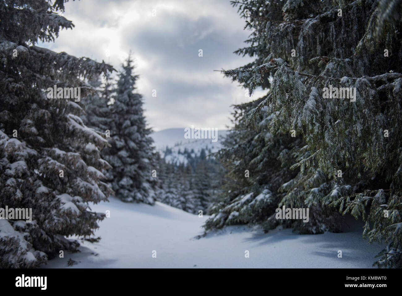 Winter landscape in Romania Stock Photo - Alamy