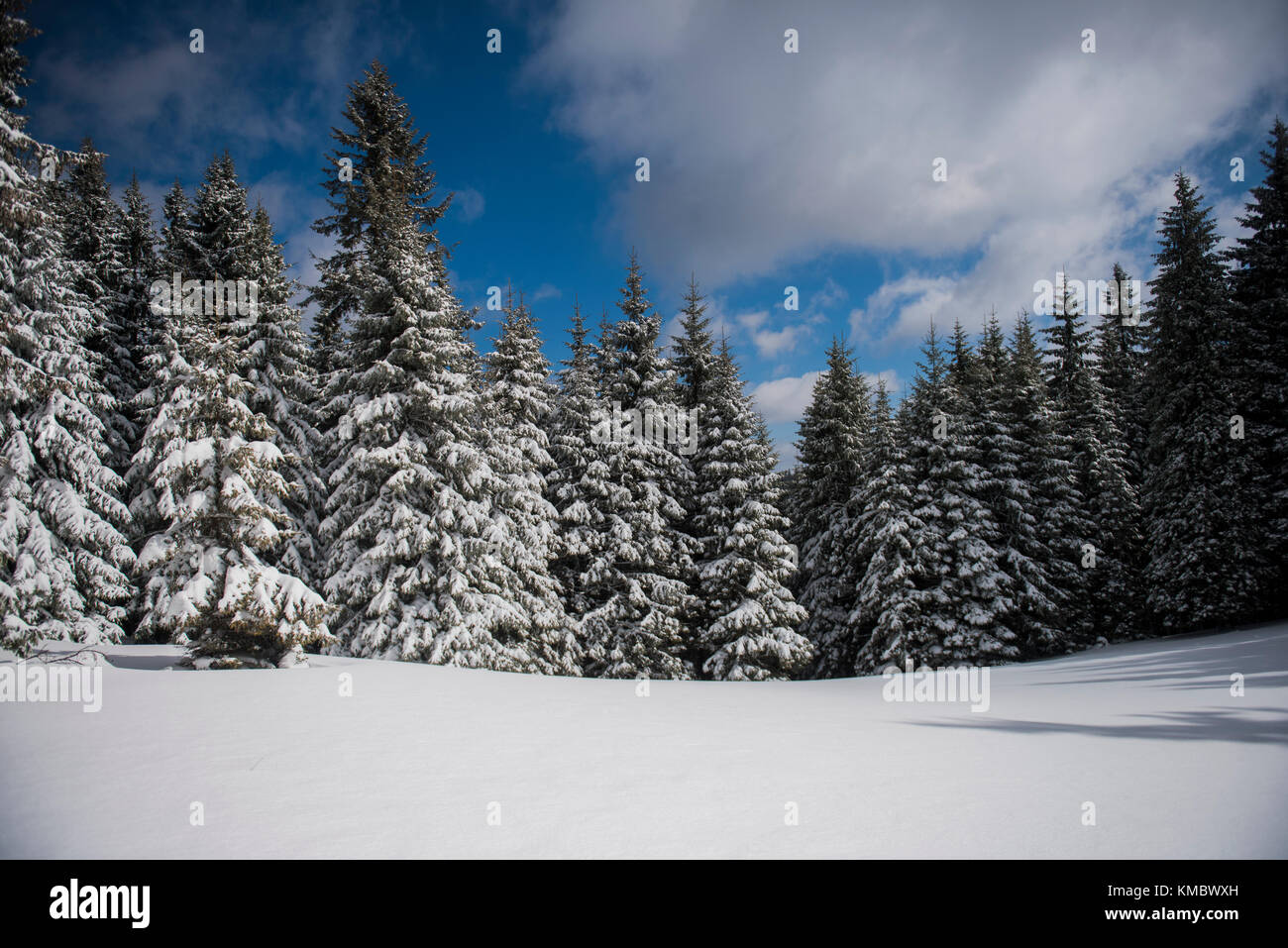 Winter landscape in Romania Stock Photo - Alamy