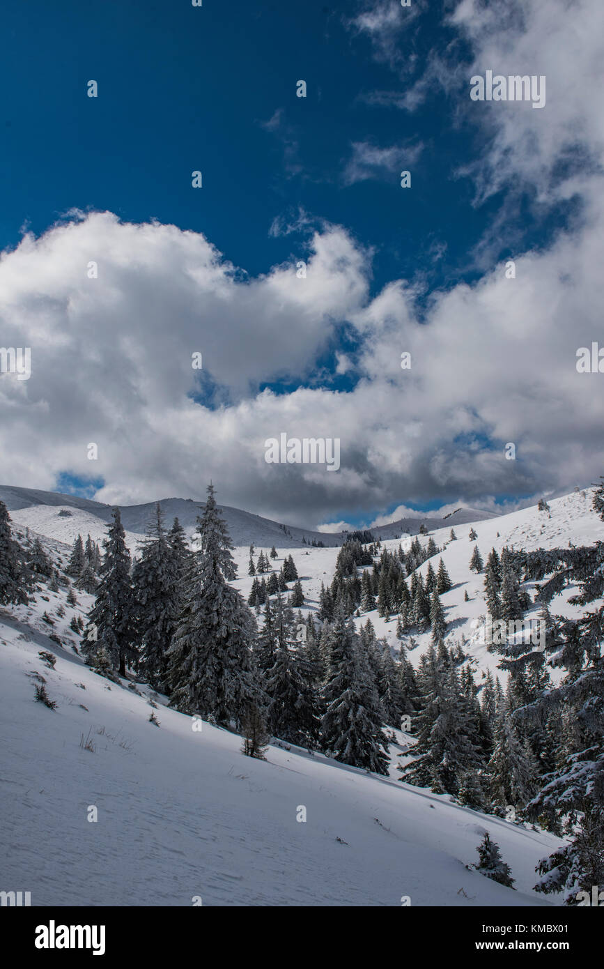 Winter landscape in Romania Stock Photo - Alamy
