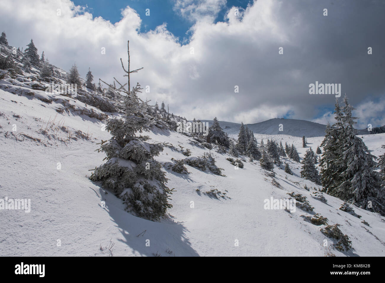 Winter landscape in Romania Stock Photo - Alamy