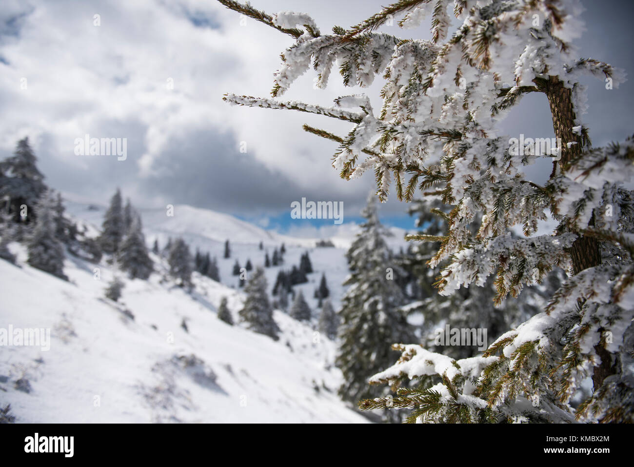 Winter landscape in Romania Stock Photo - Alamy