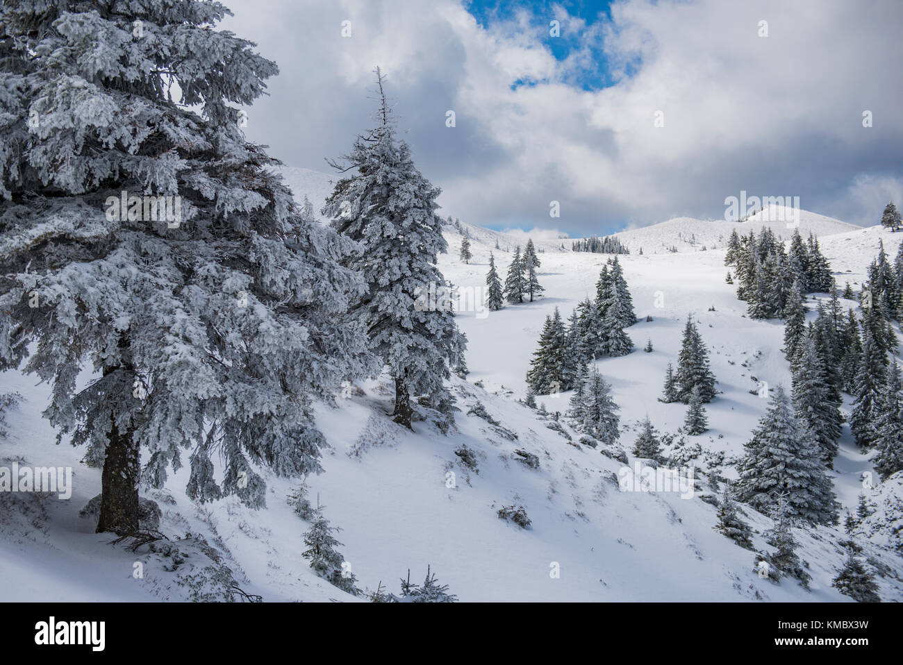 Winter landscape in Romania Stock Photo - Alamy