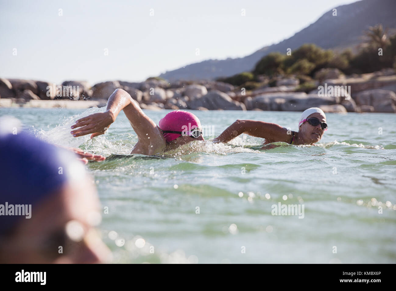 Female open water swimmers swimming in sunny ocean Stock Photo - Alamy