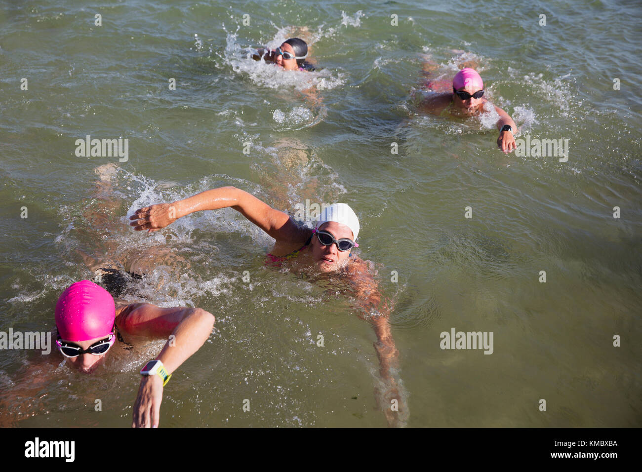 Overhead view female open water swimmers swimming in sunny ocean Stock ...