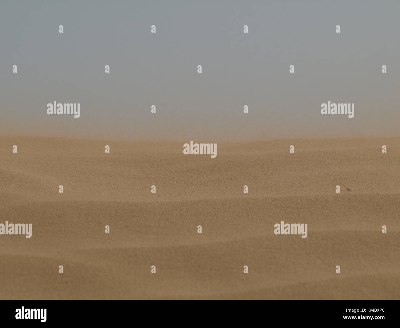 Middle east sand storm hi-res stock photography and images - Alamy
