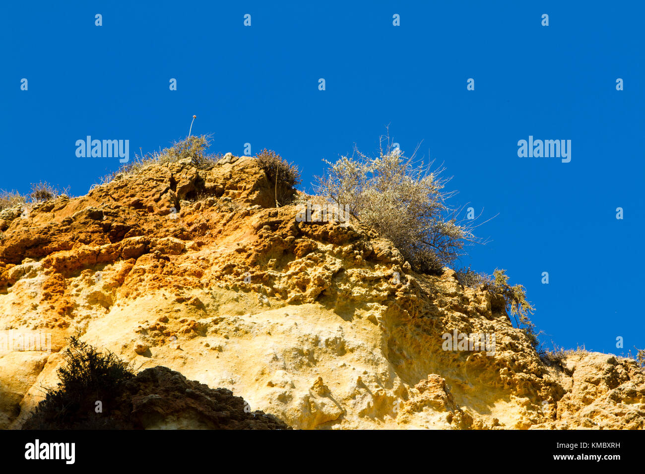 Details in cliff hi-res stock photography and images - Alamy